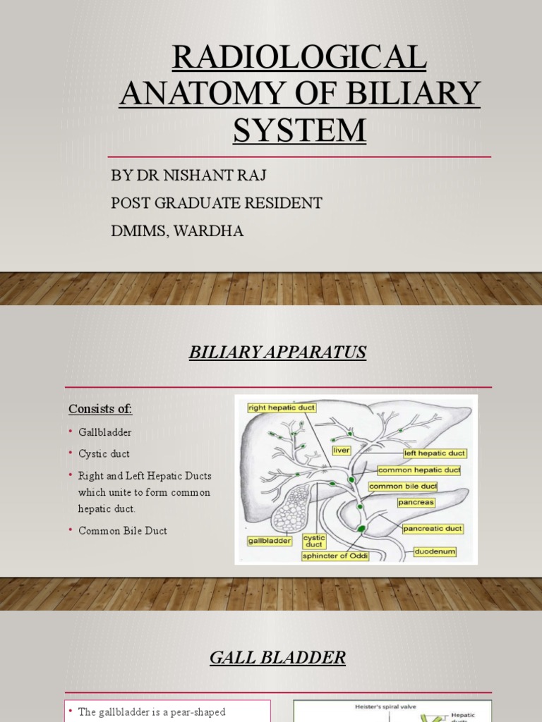 Radiological Anatomy of Biliary System | PDF