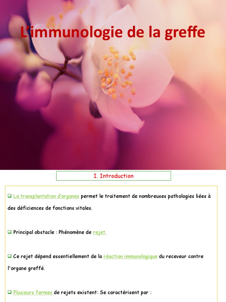 Immuno de La Greffe | PDF | Rejet de greffe | Antigène