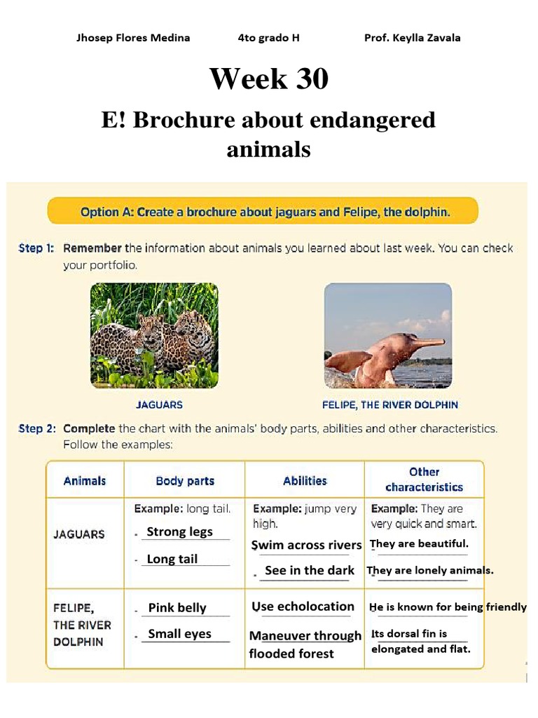 Week 30: E! Brochure About Endangered Animals | PDF | Jaguar | Cougar