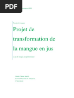 Projet Fabrication Du Brique Ecologique | PDF | Brique | Environnement naturel