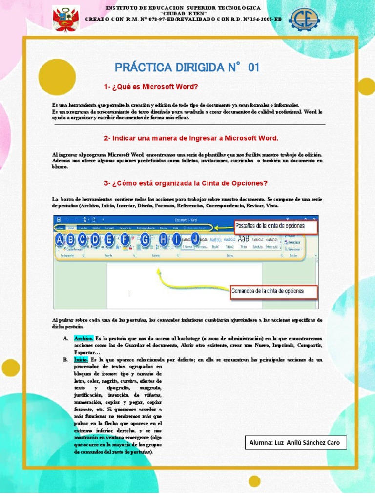 Práctica Dirigida 01 Ofimática - Anilu Sanchez Caro | PDF | Microsoft Word | Archivo de computadora