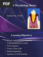 Dental Anatomy: Teeth Nomenclature & Numbering | PDF | Dental Anatomy ...