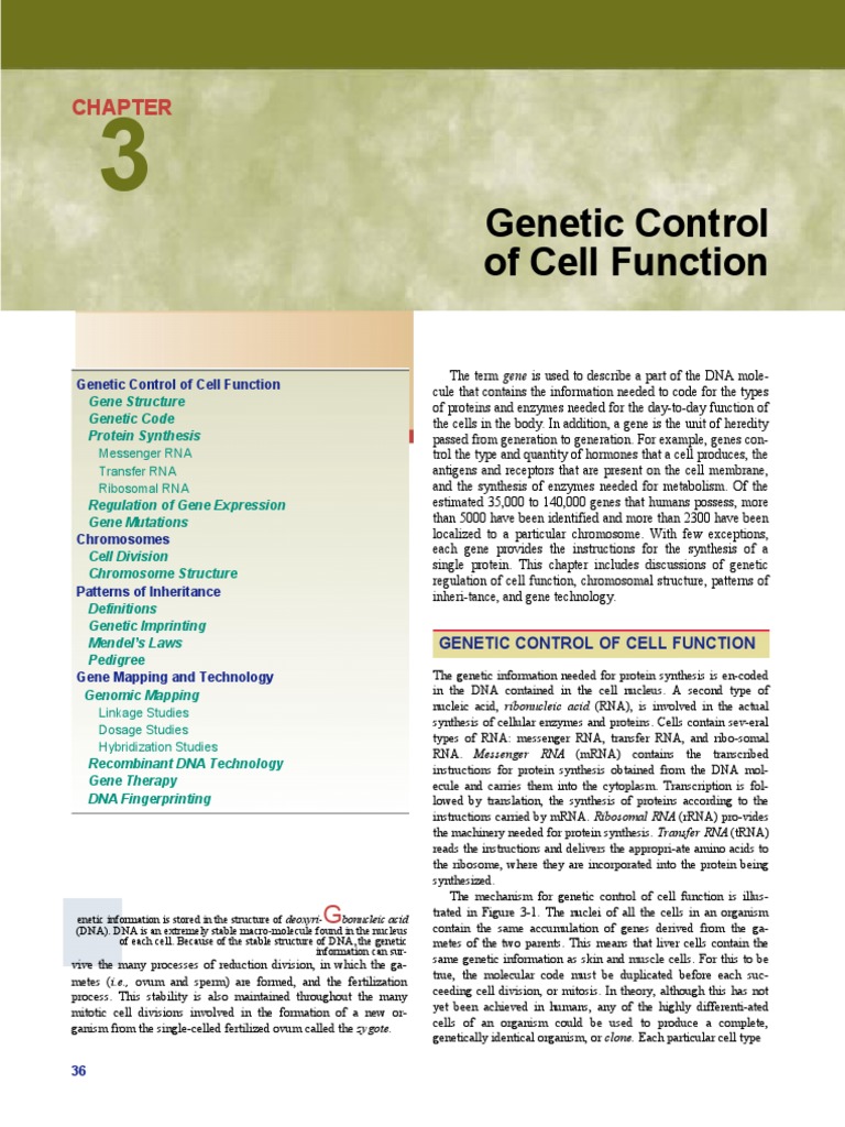 Genetic Control of Cell Function | PDF | Translation (Biology) | Rna