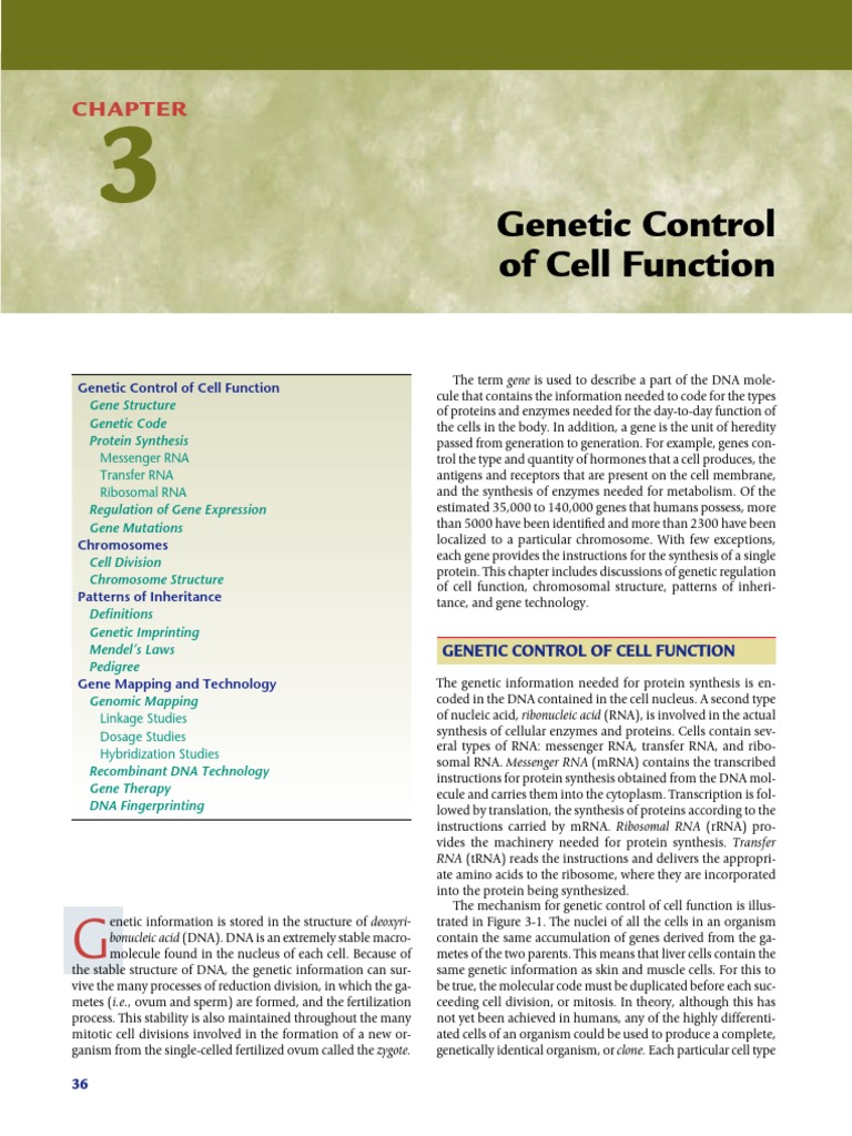 Genetic Control of Cell Function | PDF | Rna | Meiosis