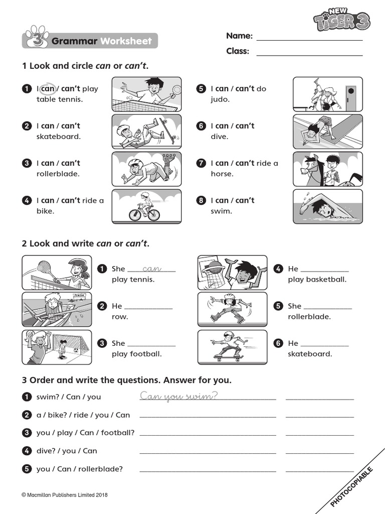 NewTiger3 U3 Grammar | PDF | Sports | Leisure
