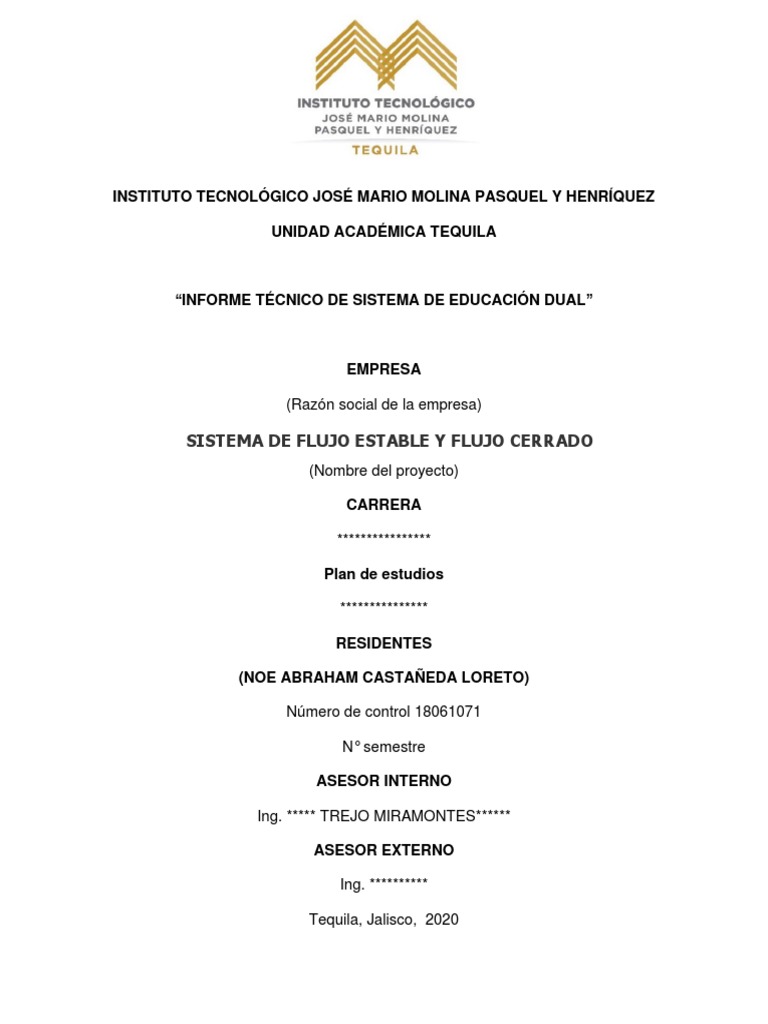 Sistema de Flujo Estable y Cerrado Noe | PDF