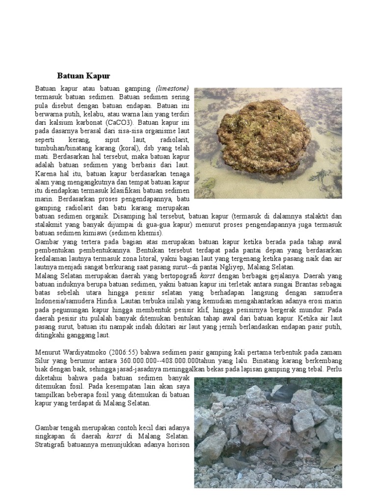 Batuan Gamping I | PDF | Sains & Matematika
