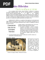 Evolución y origen del perro | PDF | Perros | Osos