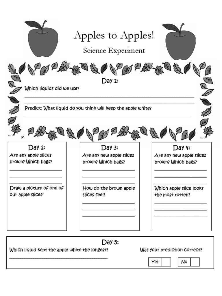 Apple Experiment Worksheet | PDF
