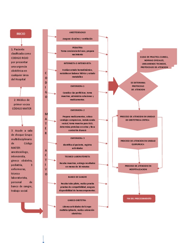 Codigo Mater | PDF | Partería | Cuidado de la salud