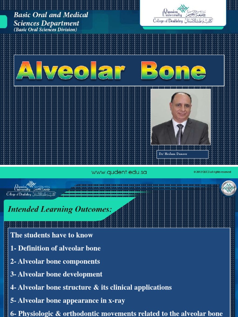 Alveolar Bone Structure and Function | PDF | Dentistry Branches | Face