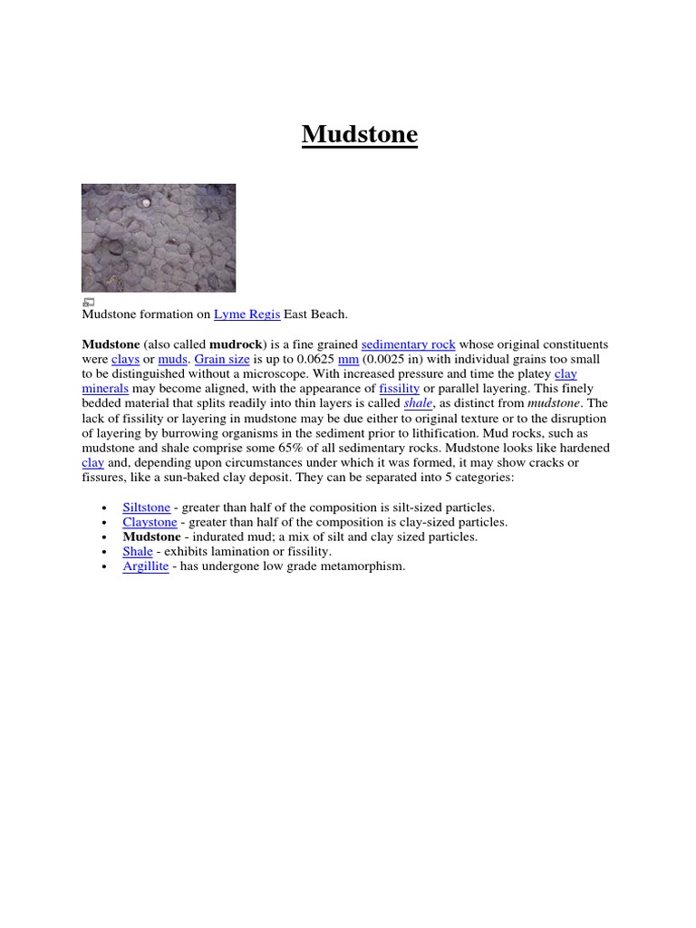 Mudstone: Lyme Regis Sedimentary Rock Clays Muds Grain Size MM Clay ...