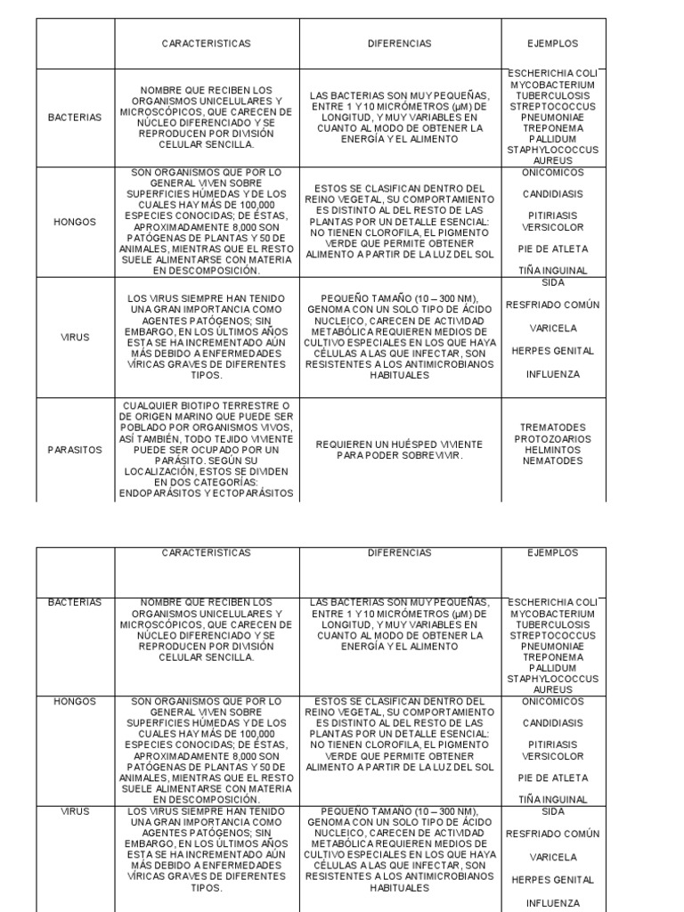 Cuadro Comparativo de Bacterias Virus Hongos Parasitos | PDF | Virus | Las bacterias