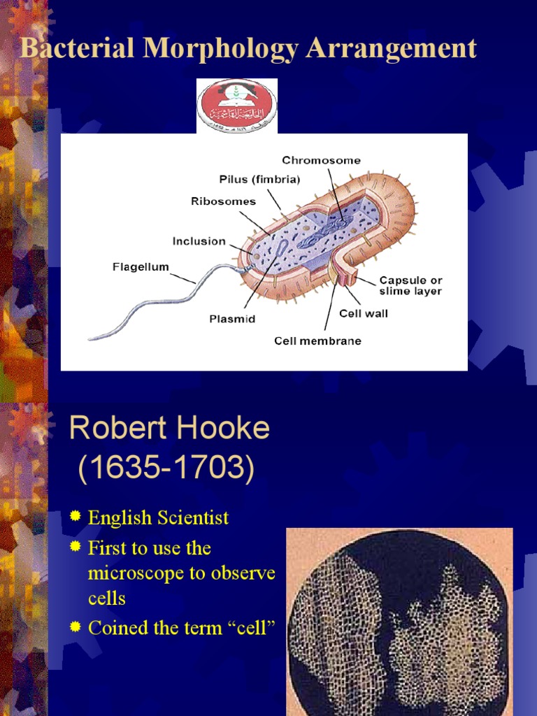 Lecture 2 - Bacterial Cell Structure and Function | PDF | Cell (Biology ...