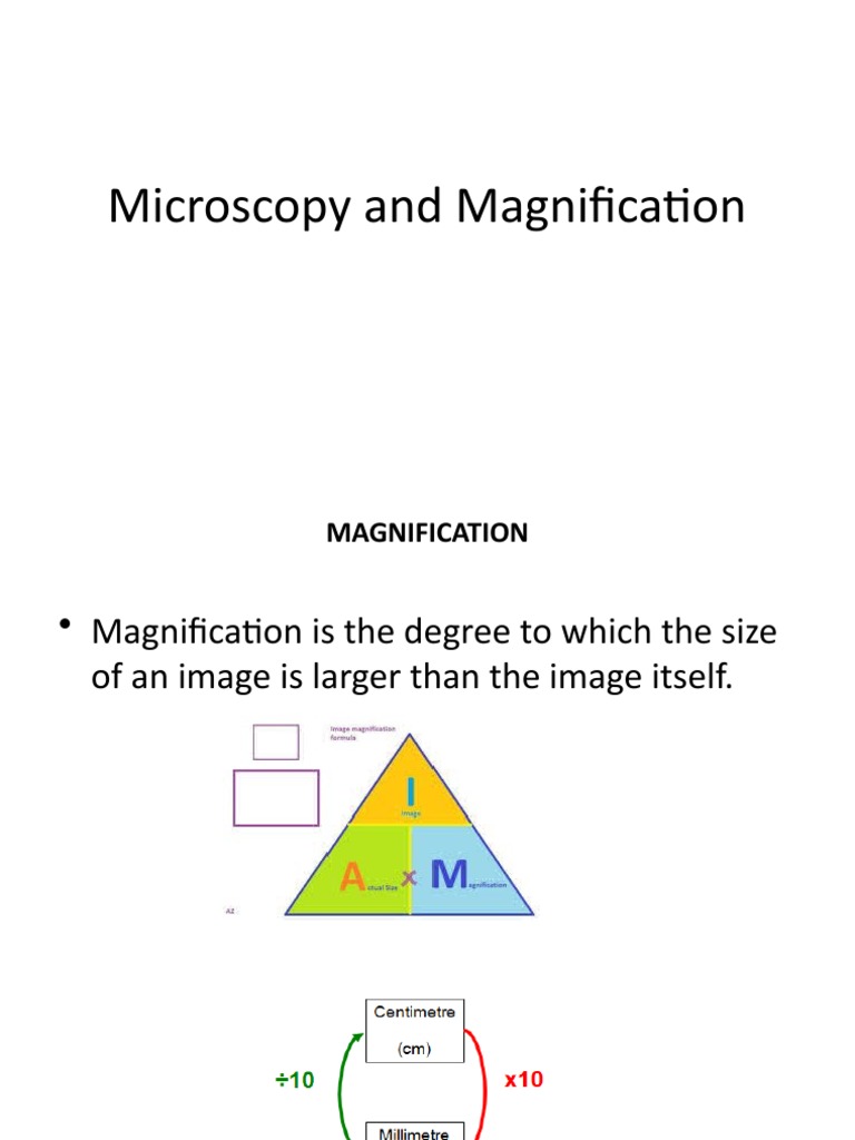 Microscopy and Magnification | PDF | Microscope | Scientific Techniques