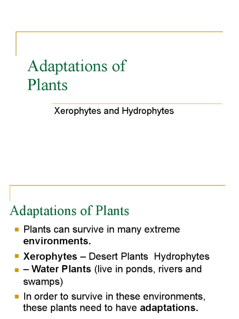 Adaptations of Plants: Xerophytes and Hydrophytes | PDF