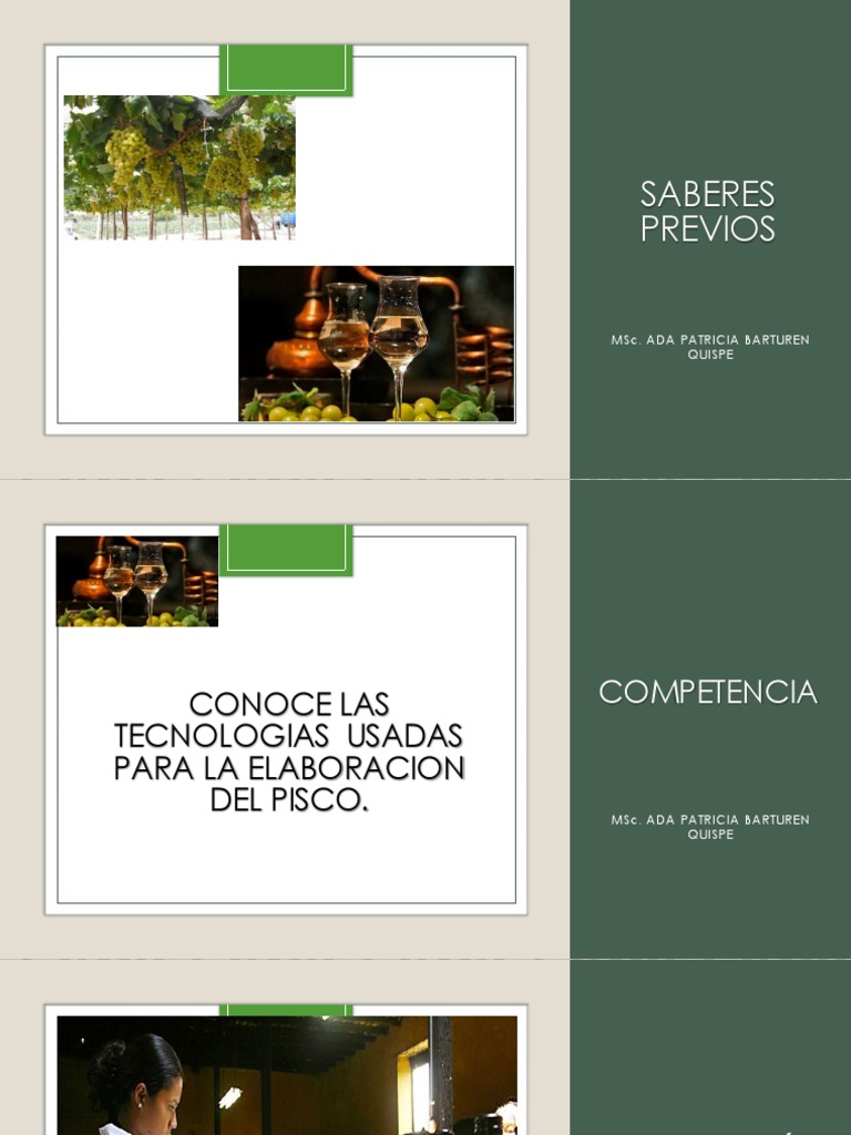 Producción Del Pisco PDF | PDF | Uva | Bebidas Destiladas