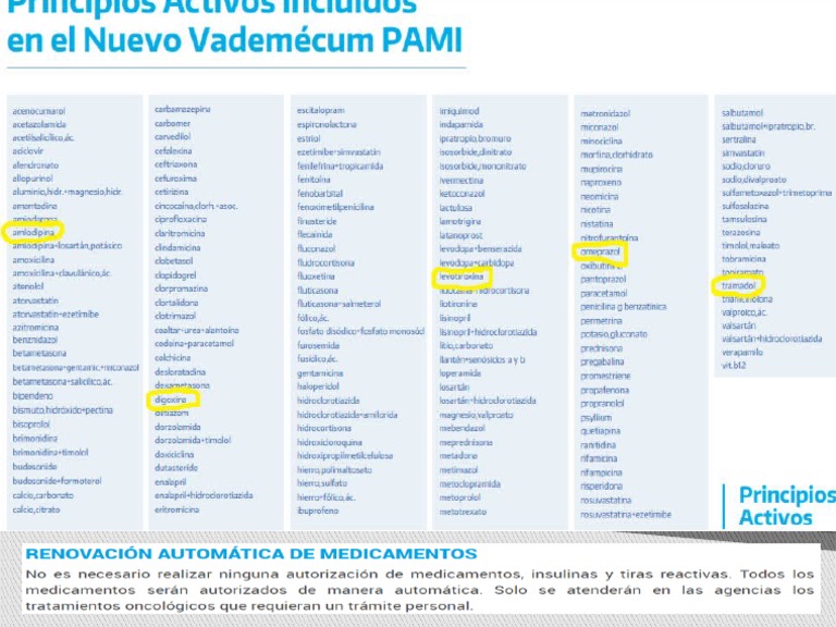 Vademecum Pami | PDF