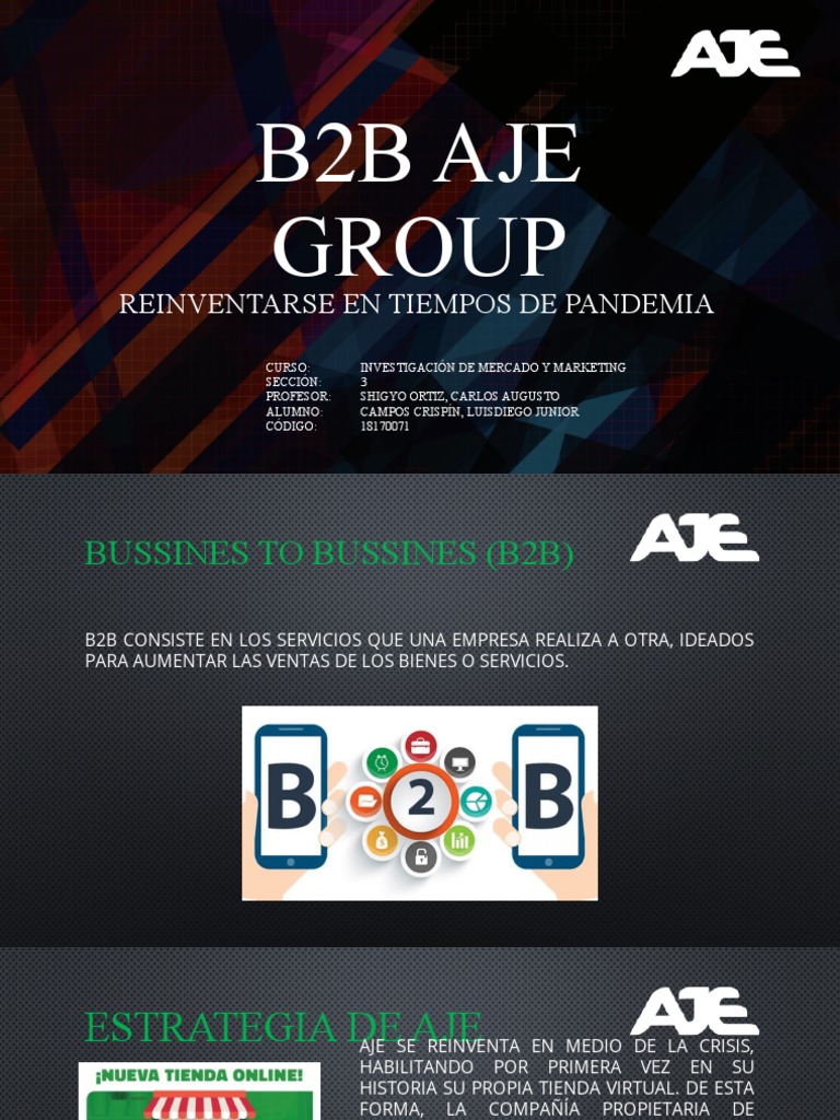 B2B Aje Group | PDF