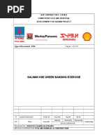 Piping PAUT Report | PDF