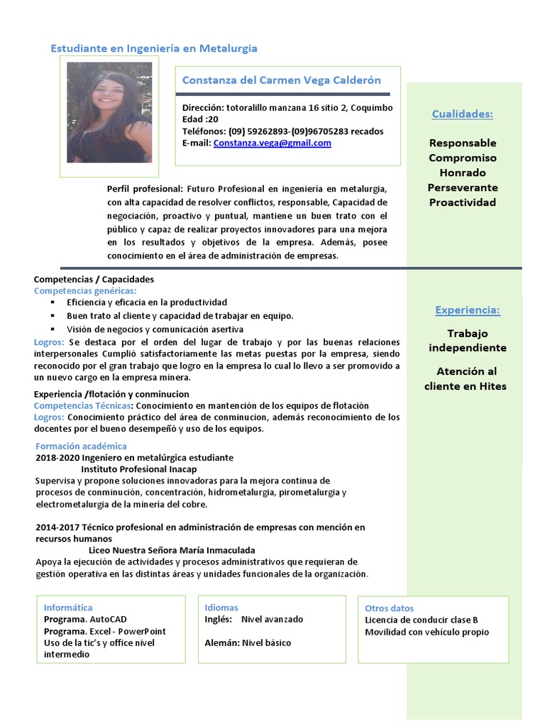 CV - Ingenierametalurgica - Constanza Vega | PDF | Ingeniería | Gestión de recursos humanos