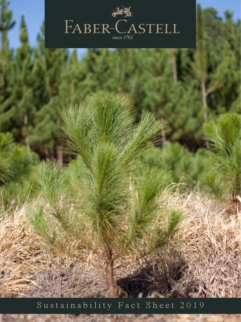 Sustainability - Fact Sheet 2019 | PDF | Greenhouse Gas | Renewable Energy