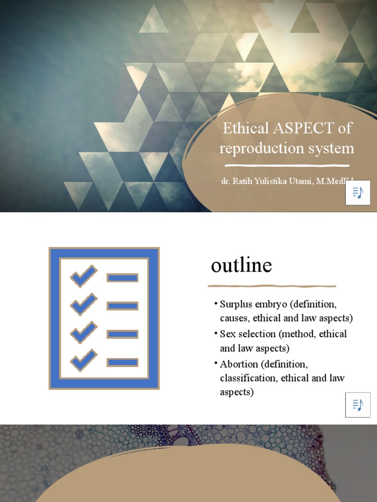 Ethical Aspects of Reproduction | PDF | In Vitro Fertilisation ...