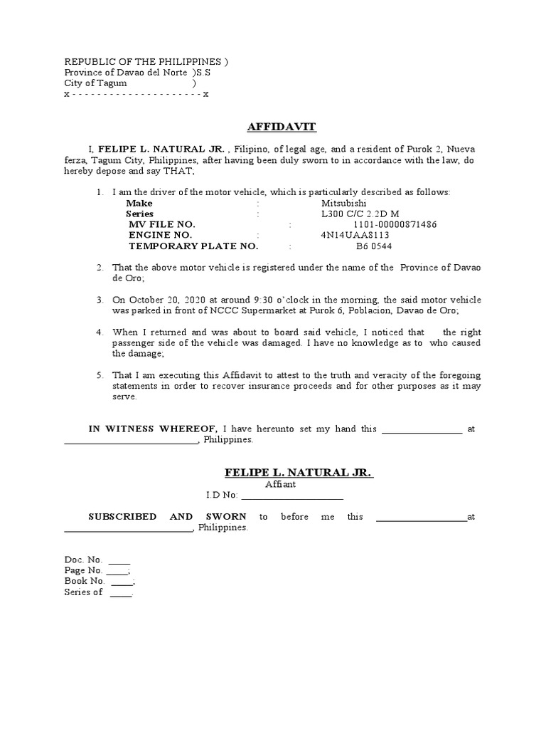 Affidavit of Motor Vehicle-Natural | PDF