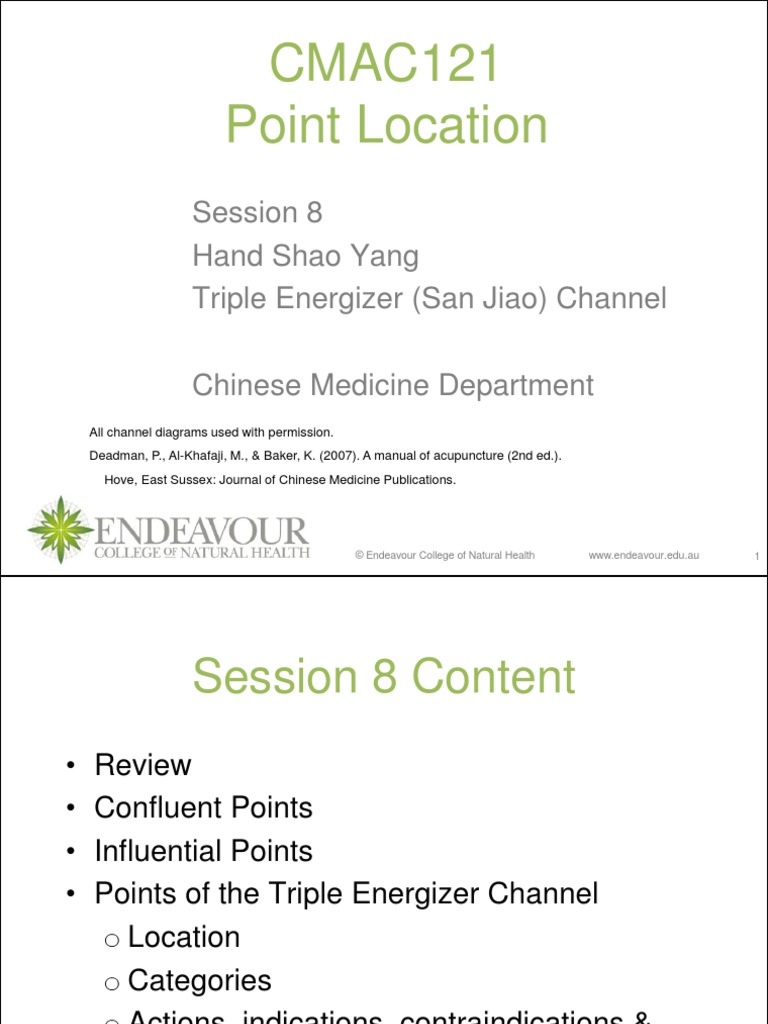 CMAC121 Point Location: Session 8 Hand Shao Yang Triple Energizer (San ...