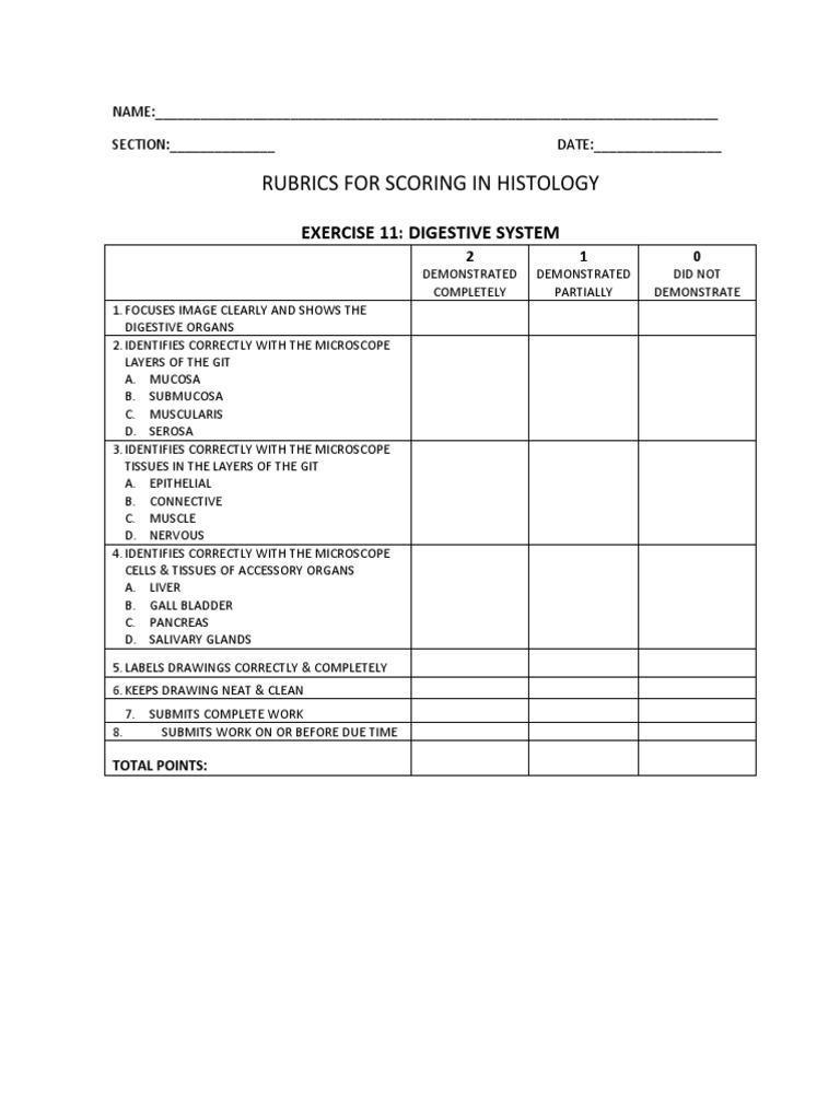Rubrics For Scoring in Histology: Exercise 11: Digestive System | PDF ...