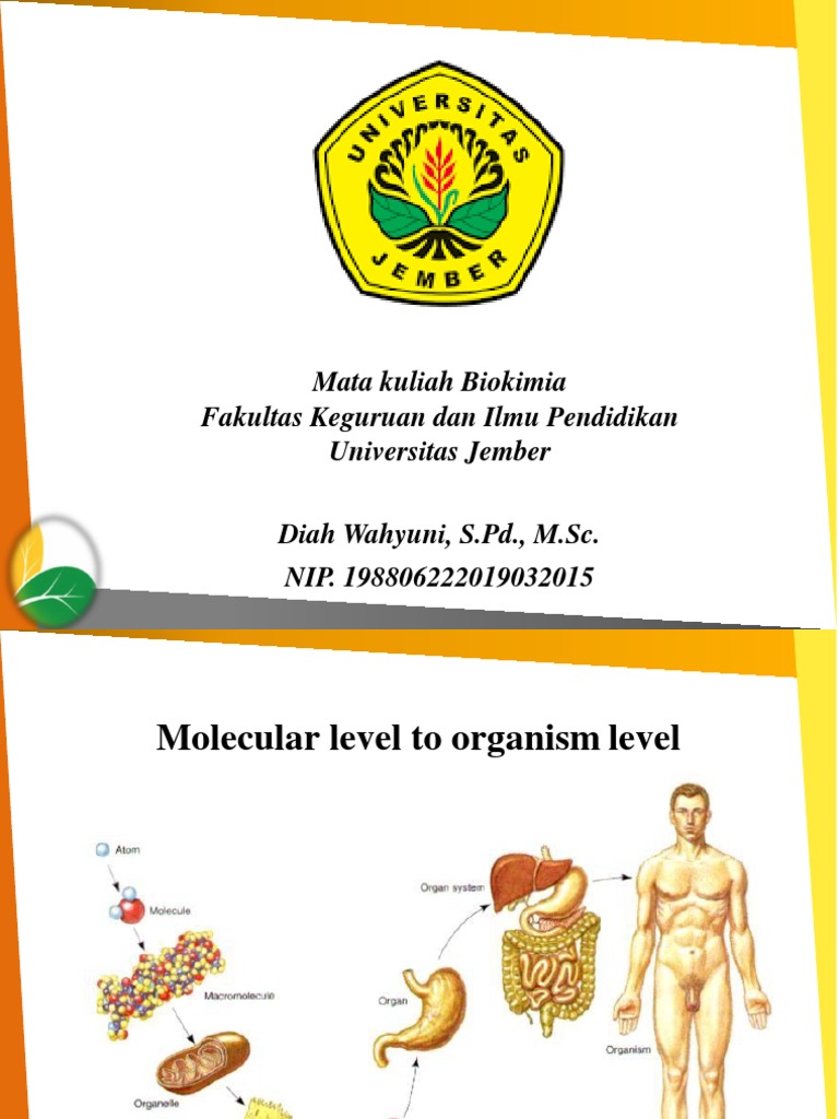 Introduction To Biologi Sel Molekuler-1 | PDF