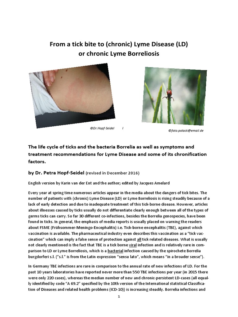From A Tick Bite To Chronic Lyme Disease | PDF | Lyme Disease | Infection