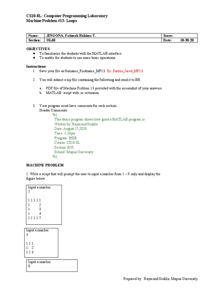 CS10-8L: Computer Programming Laboratory Machine Problem #13: Loops | PDF