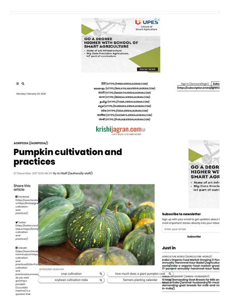 Pumpkin Cultivation and Practices | PDF | Pumpkin | Sowing
