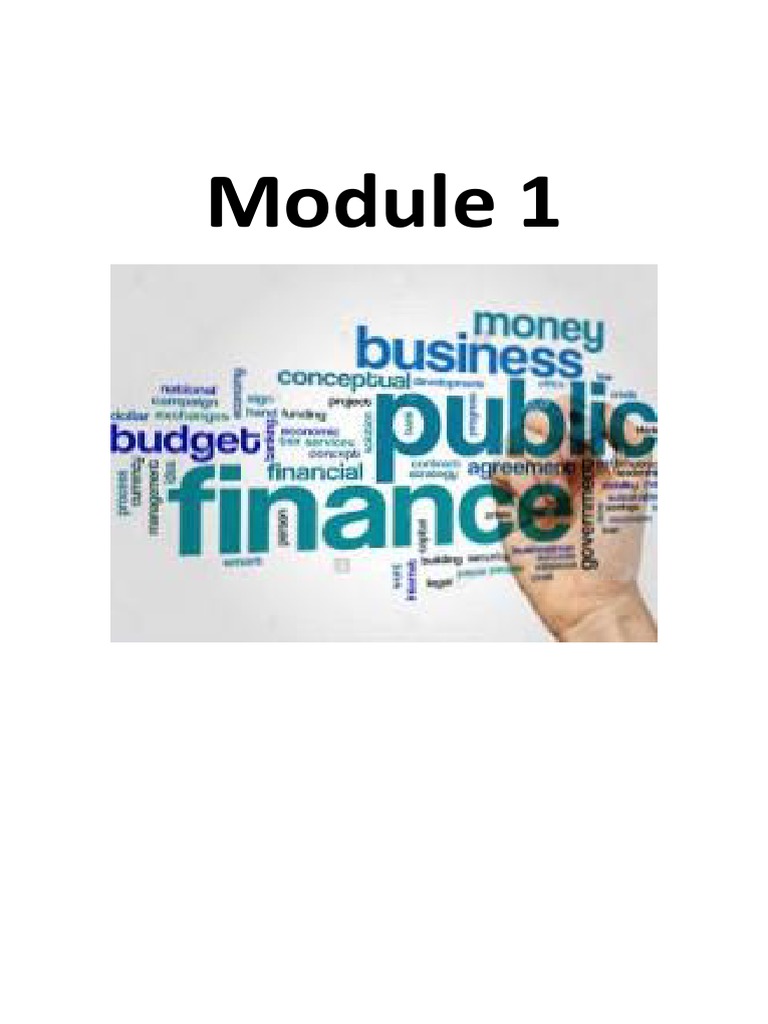 Introduction to Public Finance | PDF | Public Finance | Fiscal Policy