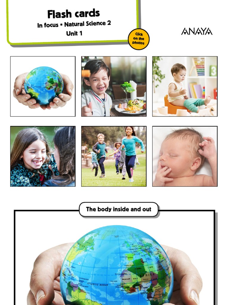 2º Naturales Flash Cards | PDF