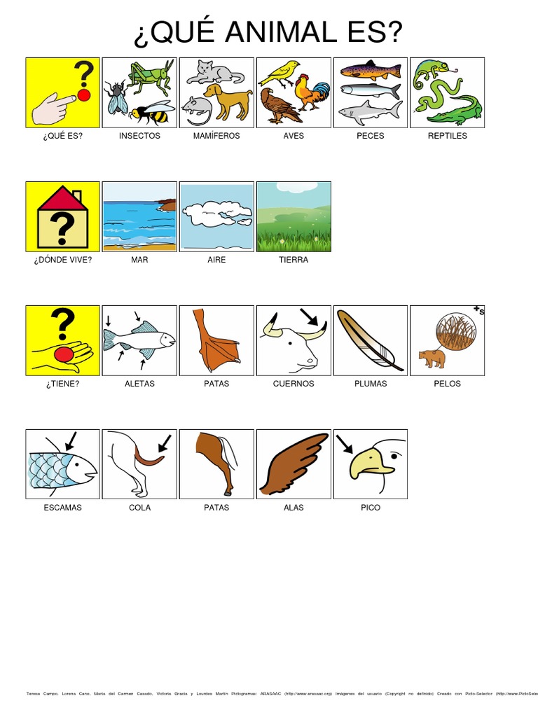 Quien Es Quien Animales PDF | PDF