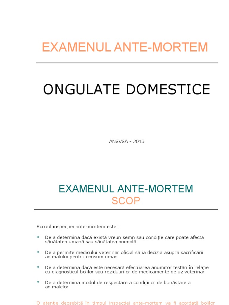 Examen Ante Mortem | PDF