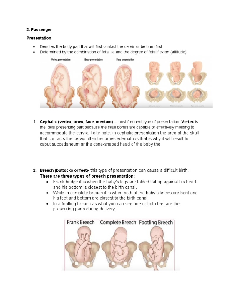 Fetal Presentation and Positioning Guide | PDF | Childbirth | Human ...