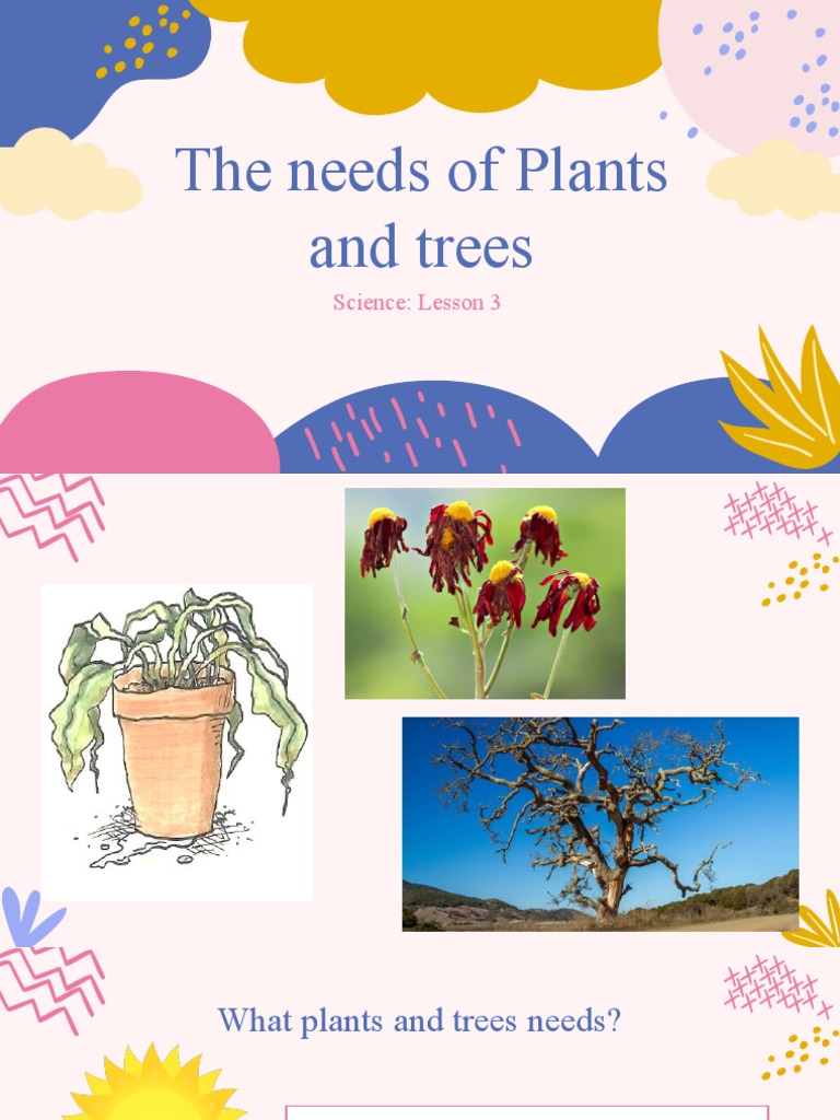 Essential Needs of Plants and Trees | PDF