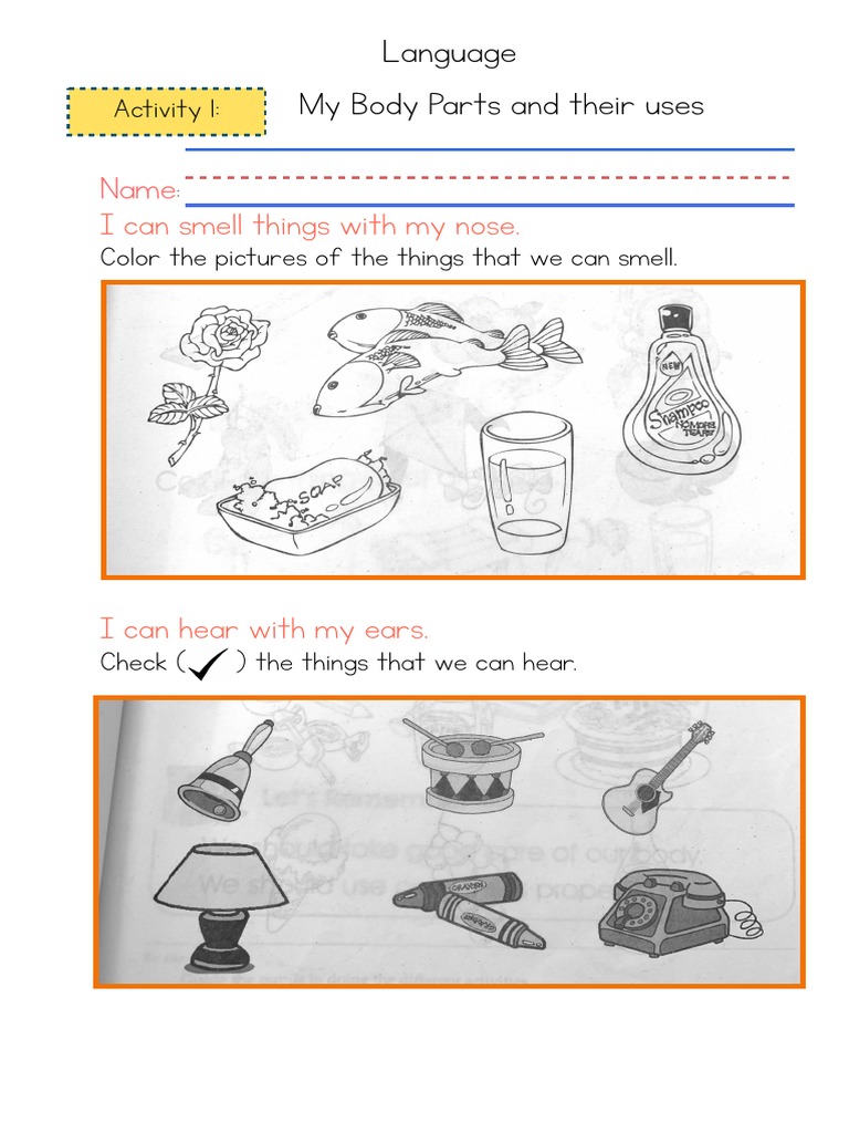 Body Parts and Their Functions Activities | PDF | Language Arts ...
