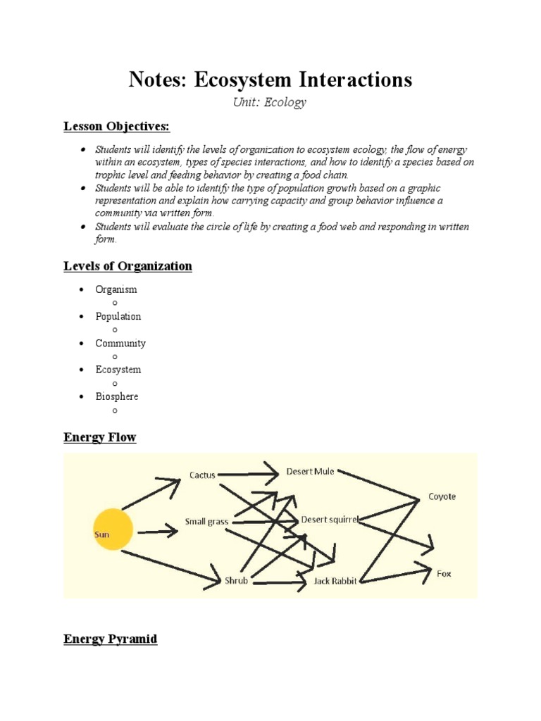 Ecology Lesson for Students | PDF | Food Web | Environmental Science