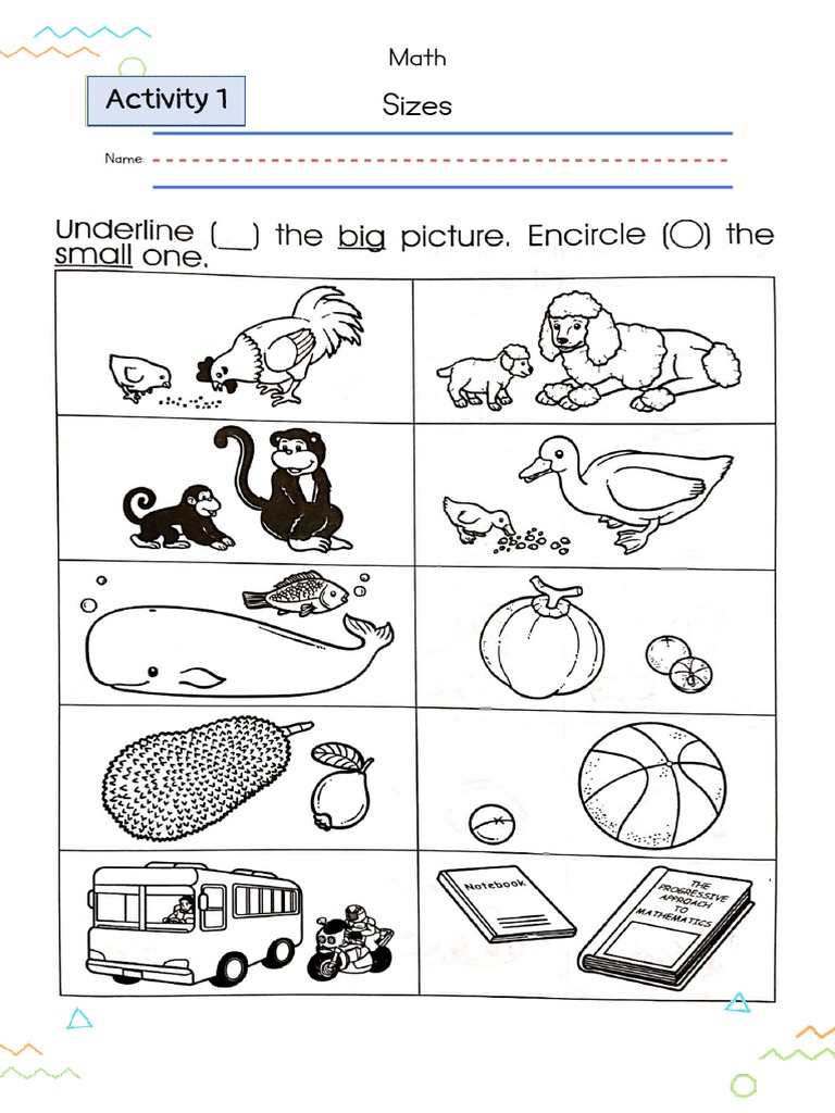Kindergarten Sizes Math Activities | PDF