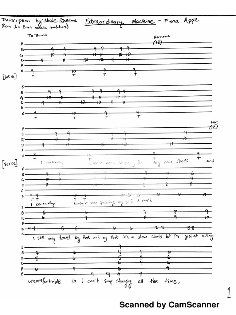 Extraordinary Machine - Fiona Apple | PDF