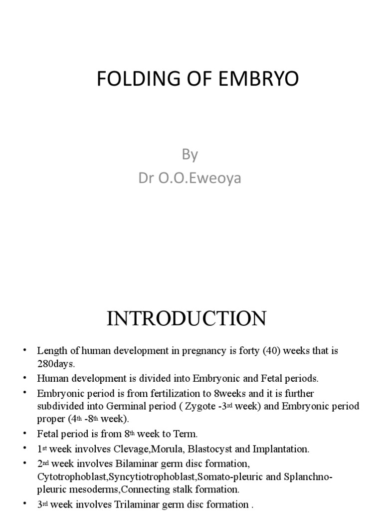 Embryonic Folding Processes Explained | PDF | Reproduction | Biology