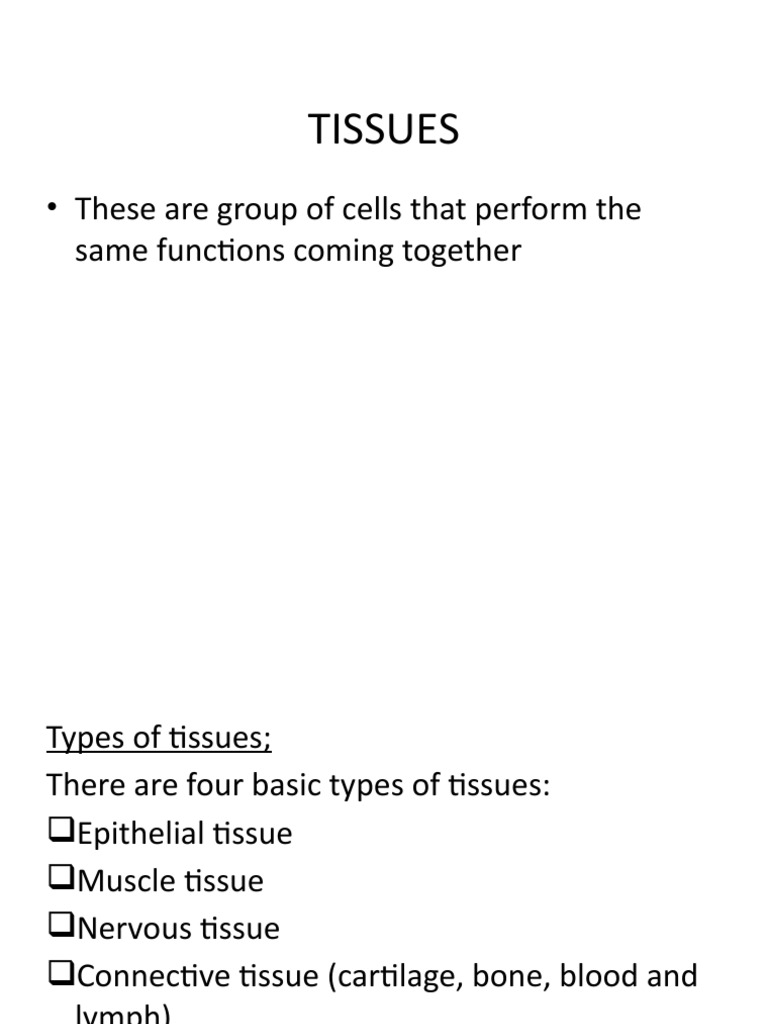 Histology of The Tissues | PDF | Epithelium | Anatomy