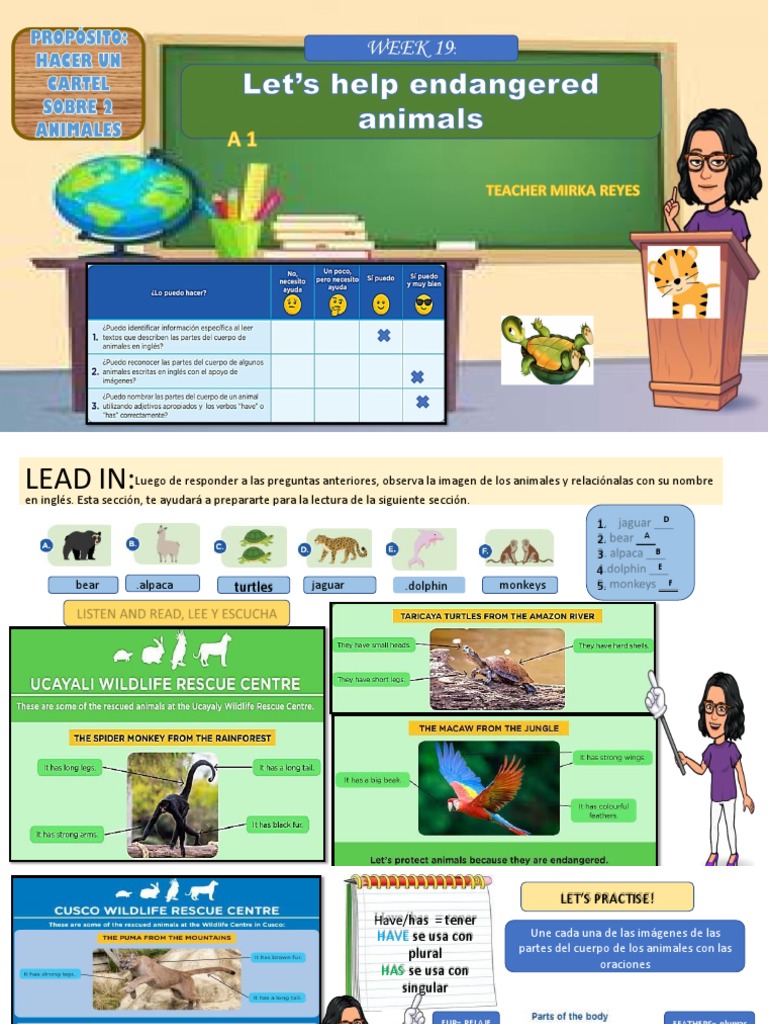 Animal Characteristics and Vocabulary Guide | PDF | Cetaceans | Organisms