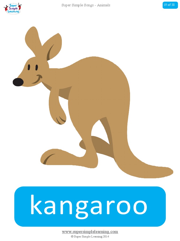 Kangaroo: © Super Simple Learning 2014 | PDF | Mammal Ecology