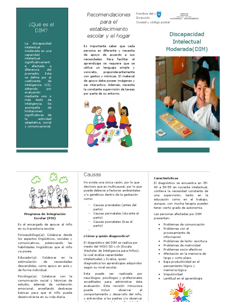 ¿Qué Es El Dim?: Discapacidad Intelectual Moderada (DIM) | PDF ...