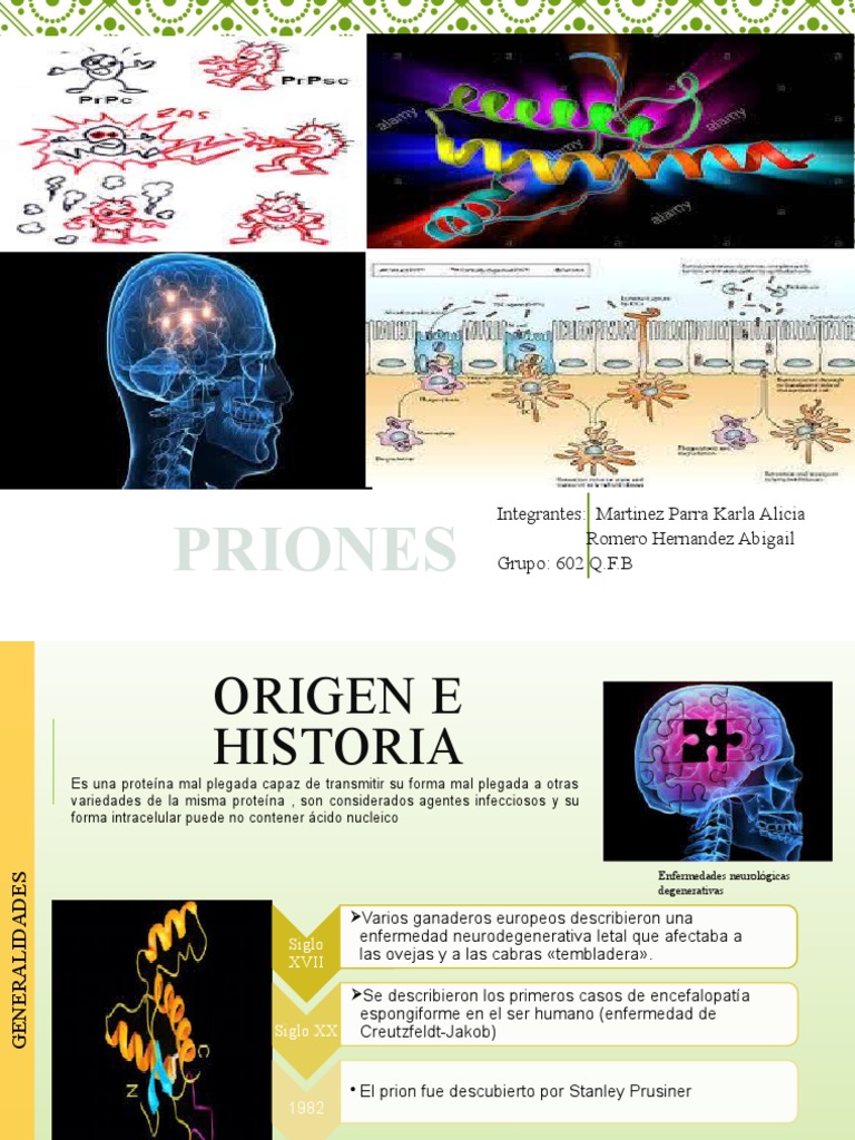 Priones | PDF | Especialidades Medicas | Enfermedades y trastornos